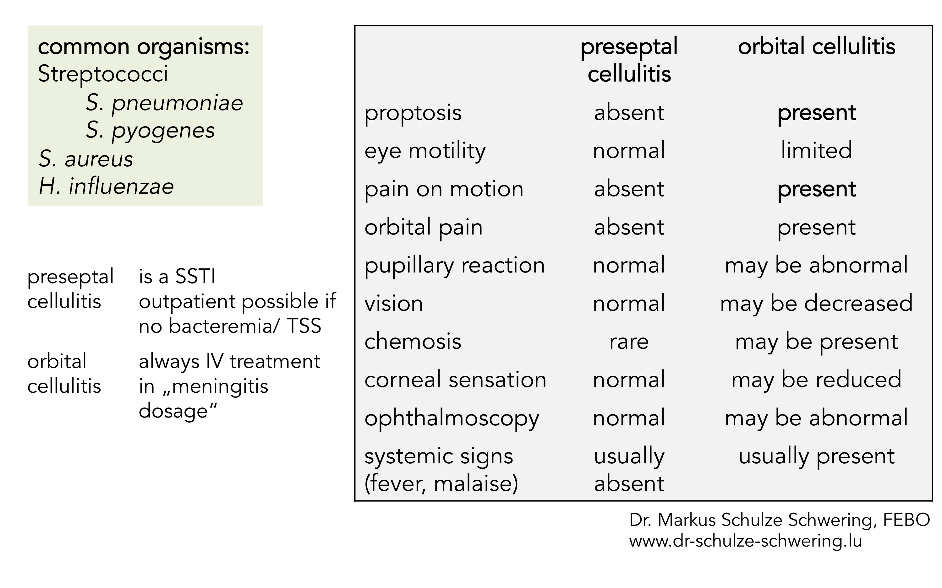 preseptal and orbital cellulitis (“präseptale und Orbitaphlegmone ...